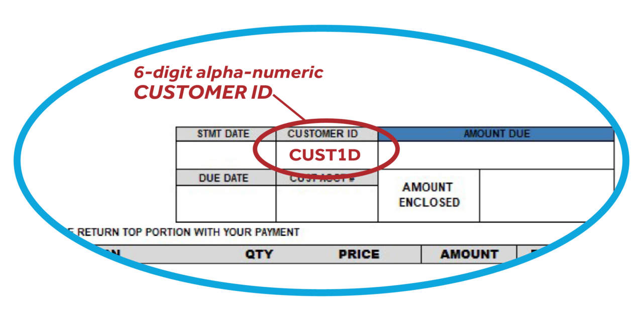 ONLINE ACCOUNT ACCESS | Sunshine Propane